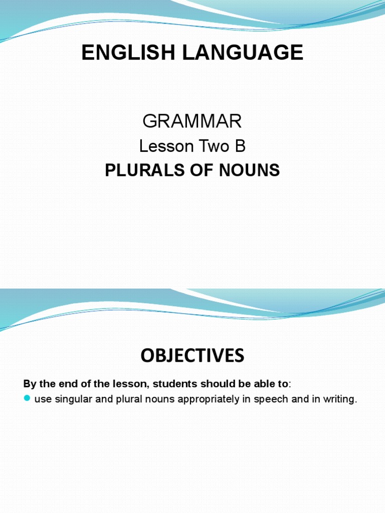 Lesson 2B Plural Nouns Lesson | PDF | Plural | Grammatical Number