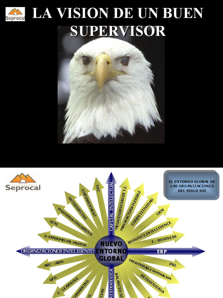 La Vision de Un Buen Supervisor | PDF | Business | Planificación