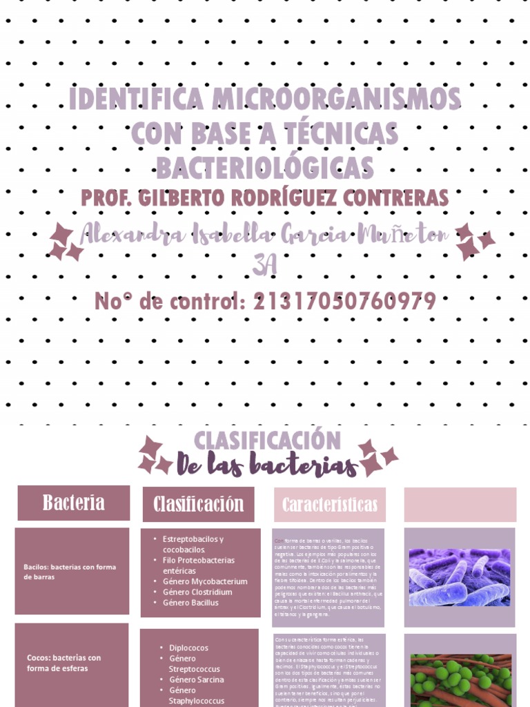 Ejemplos de Bacterias Espirilos | PDF | Las bacterias | Estreptococo