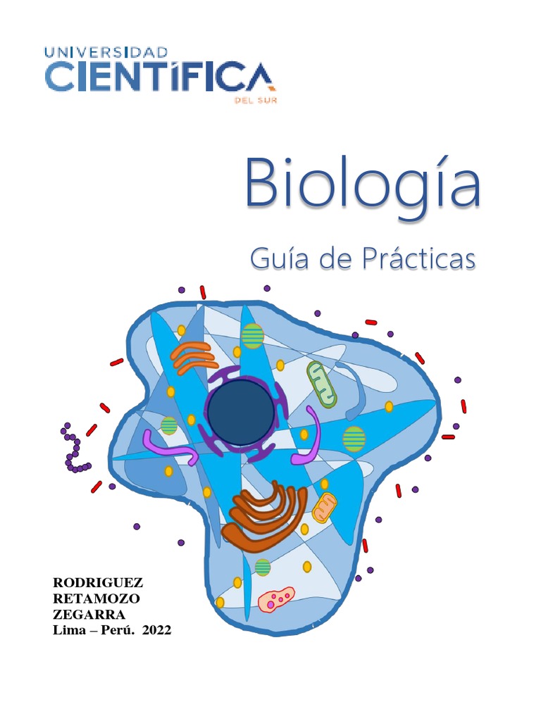 Guía de Práctica, Laboratorio - Biología 2022-2 | PDF | Biología Celular) | Almidón