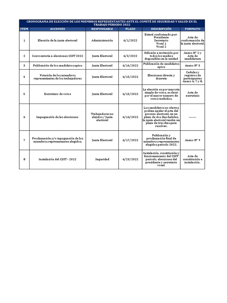 Cronograma de Elecciones Del CSST | PDF | Elecciones | Gobierno