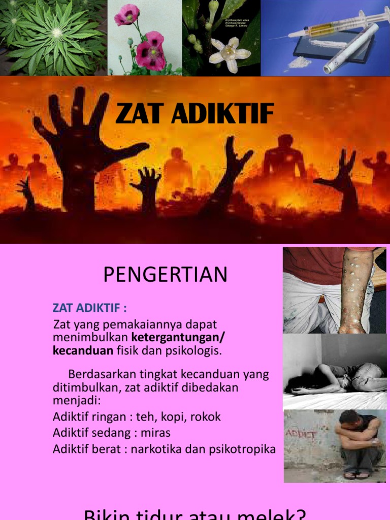 Zat Adiktif | PDF
