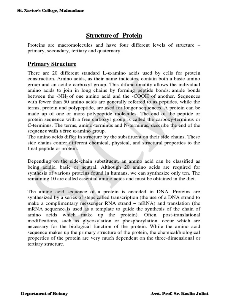 Structure of Protein | PDF | Proteins | Amino Acid