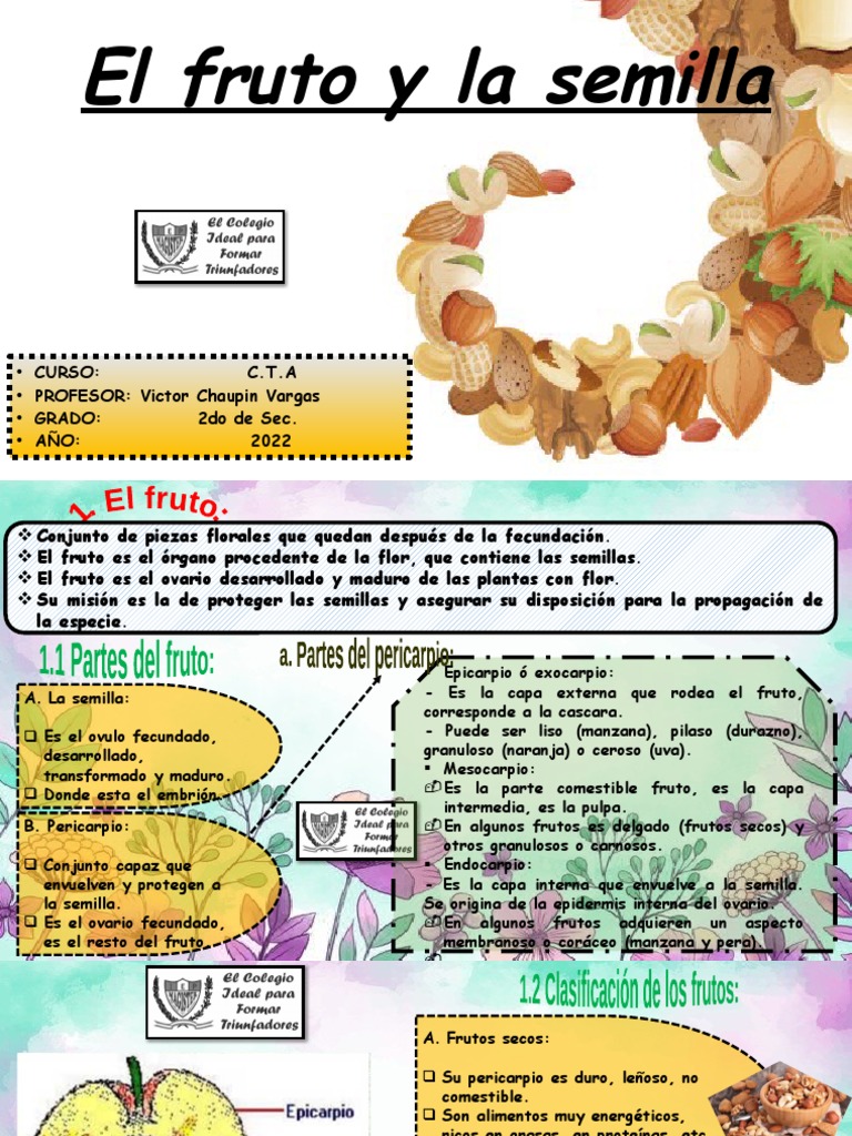 1el Fruto y La Semilla 01 - 08 | PDF | Fruta | Semilla