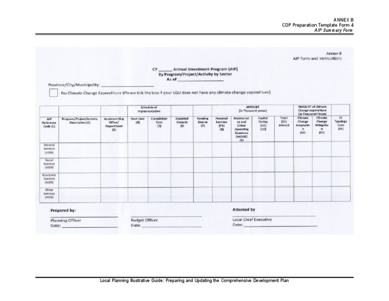 AIP Summary Form for CDP Preparation | PDF