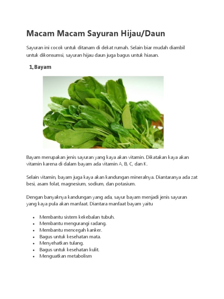 Macam Macam Sayuran Hijau | PDF