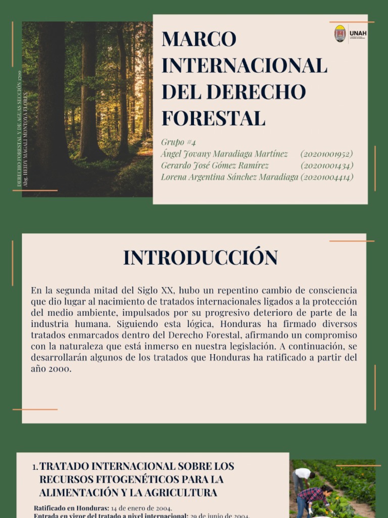 Marco Internacional Del Derecho Forestal (Grupo #4) - Derecho Forestal ...