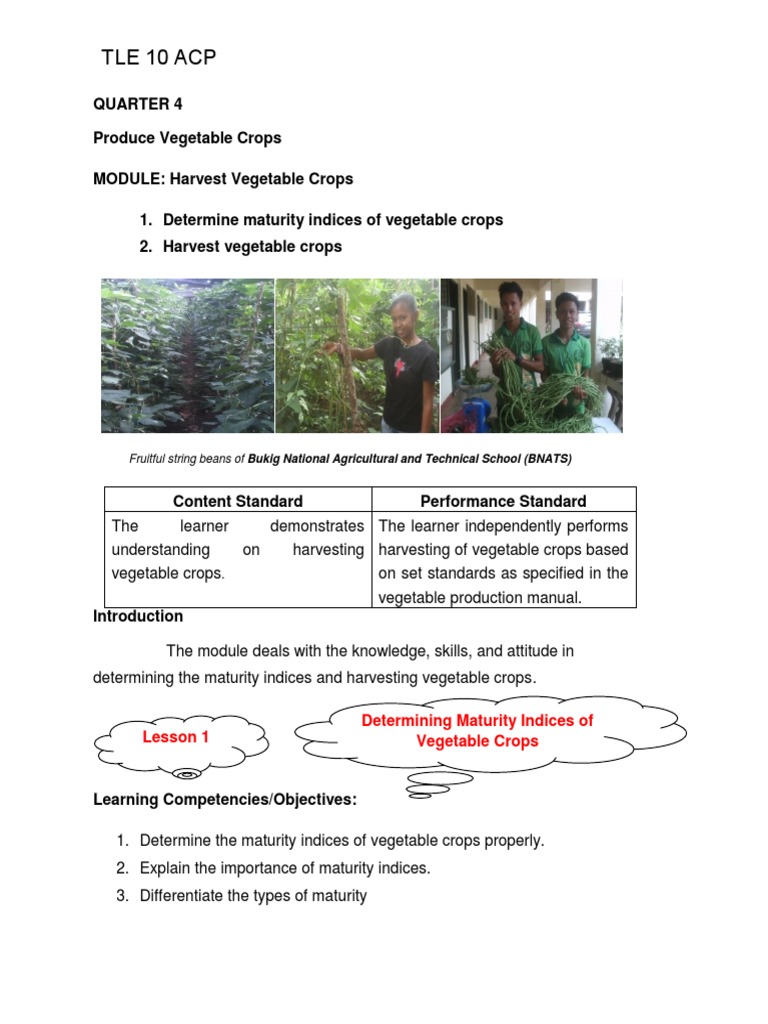 Harvest Vegetable Crops Maturity | PDF | Vegetables | Fruit