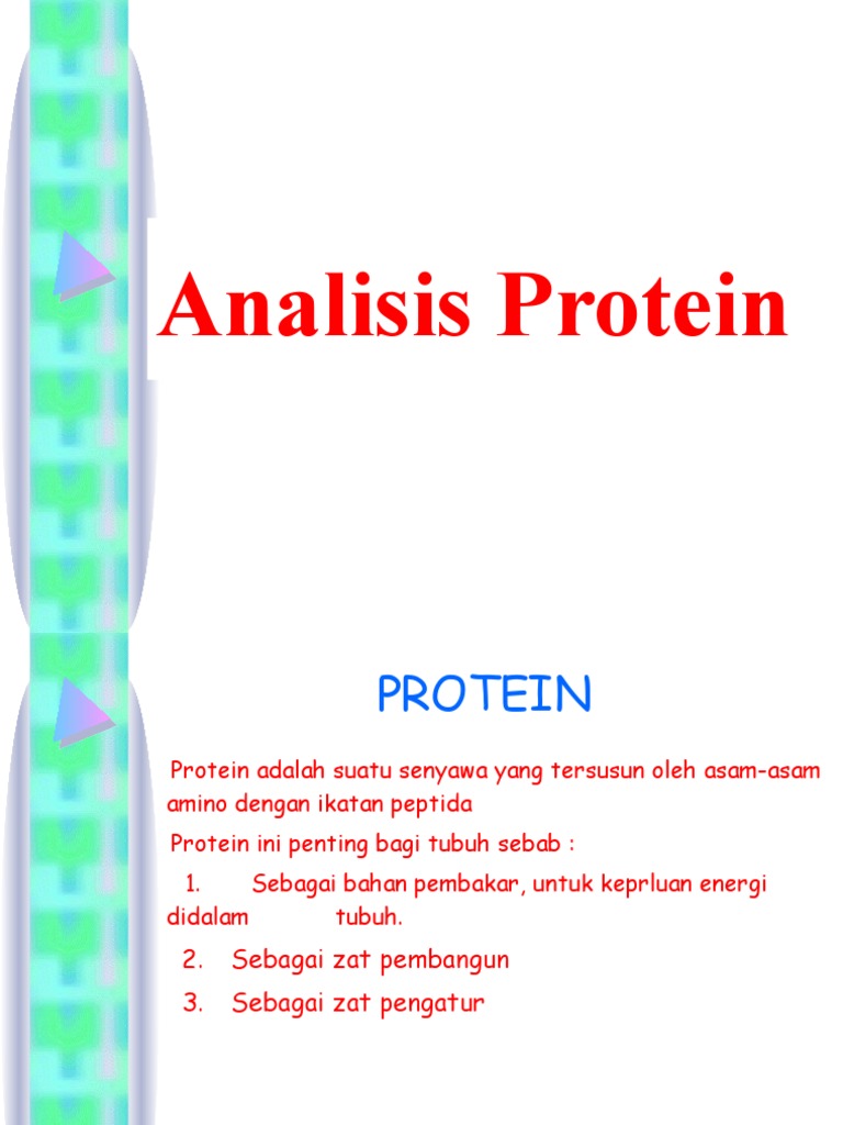 Analisis Protein | PDF