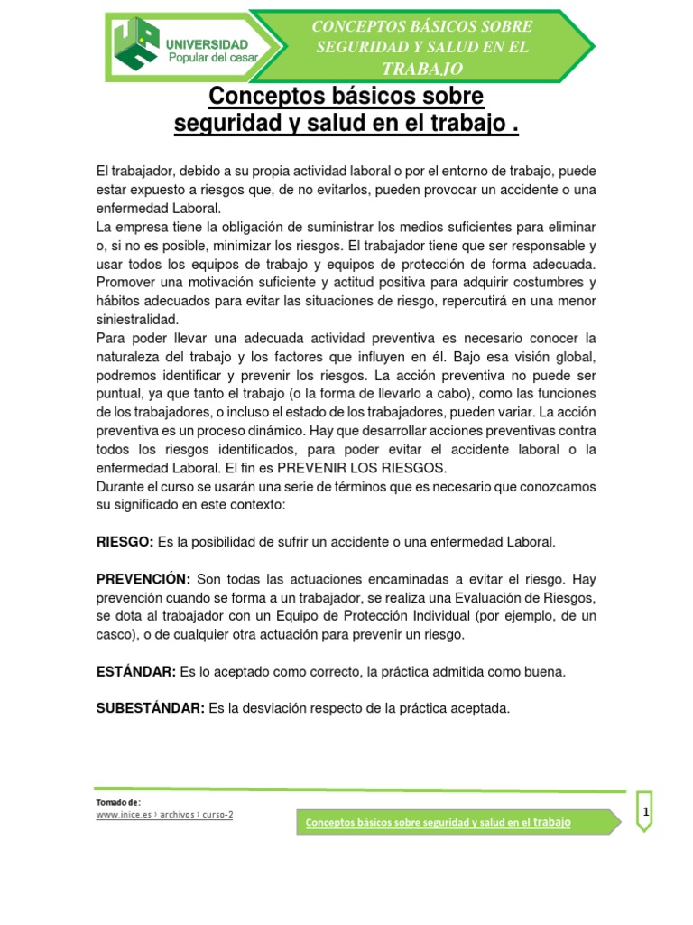 Conceptos Basicos de SST | PDF | Valores | Riesgo
