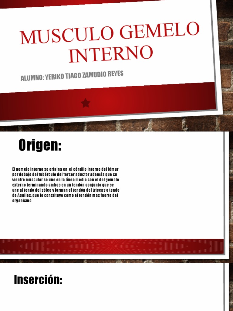 Musculo Gemelo Interno | PDF