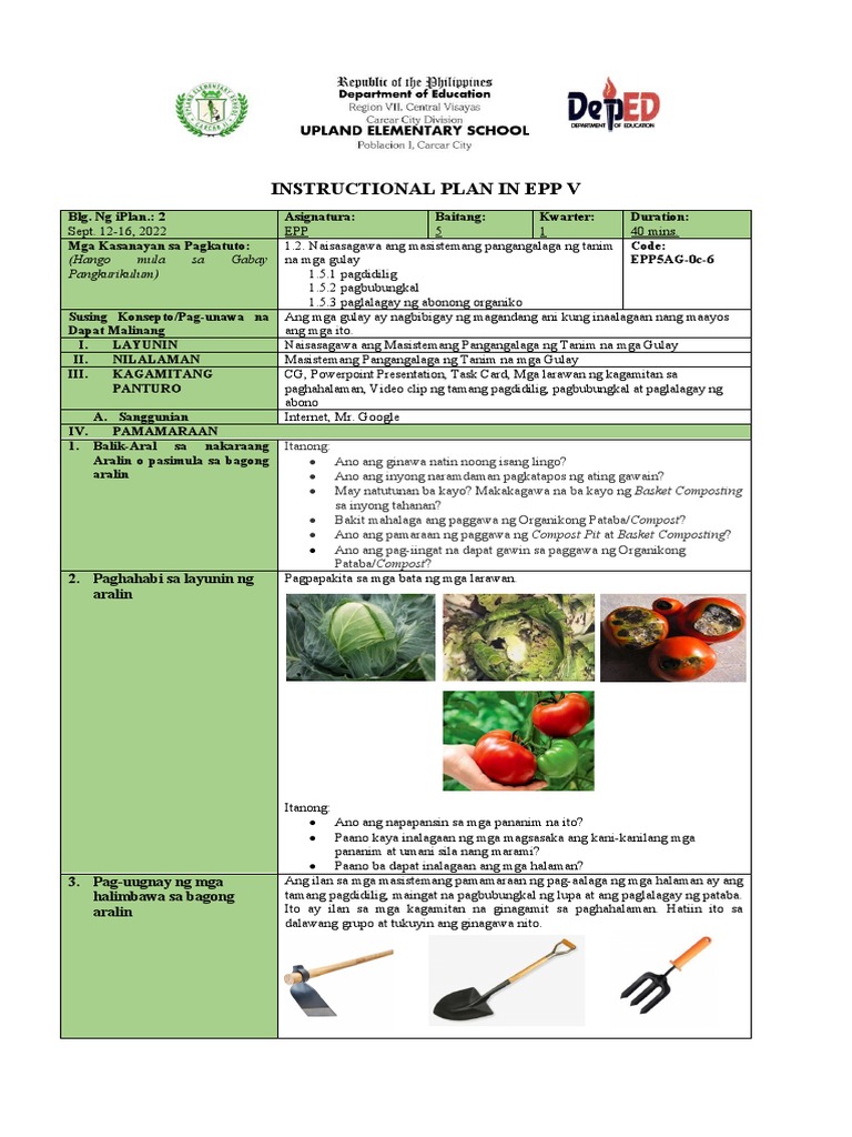 Instructional Plan in Epp V - w3 | PDF