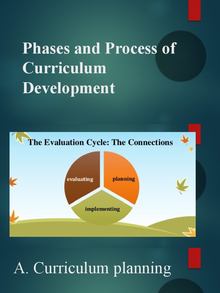Phases of Curriculum Development | PDF | Curriculum | Teachers