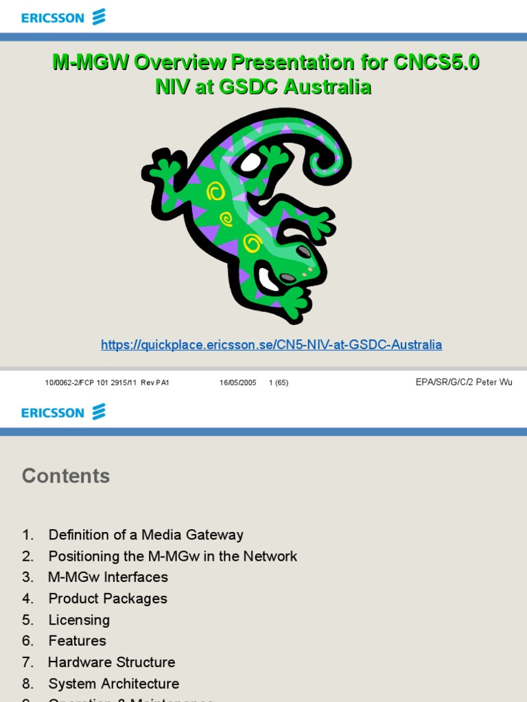 M-MGW Overview for CNCS5.0 | PDF | Computer Network | Asynchronous Transfer Mode