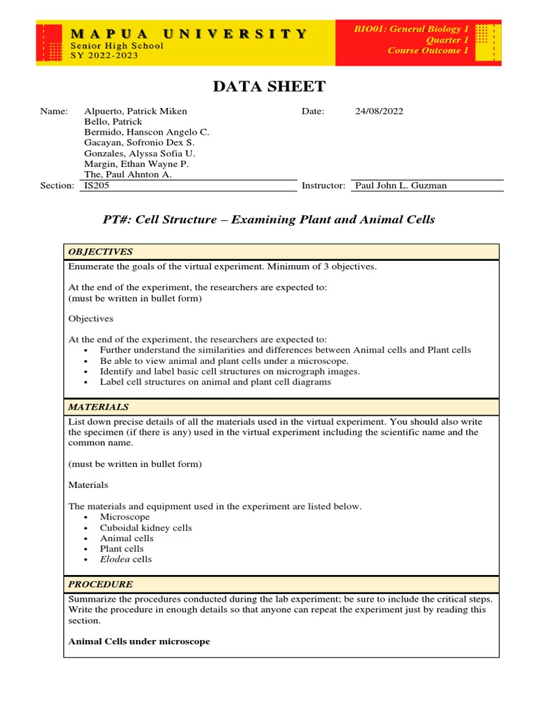 PT1 Data Sheet Cell Structure - Examining Plant and Animal Cells | PDF ...