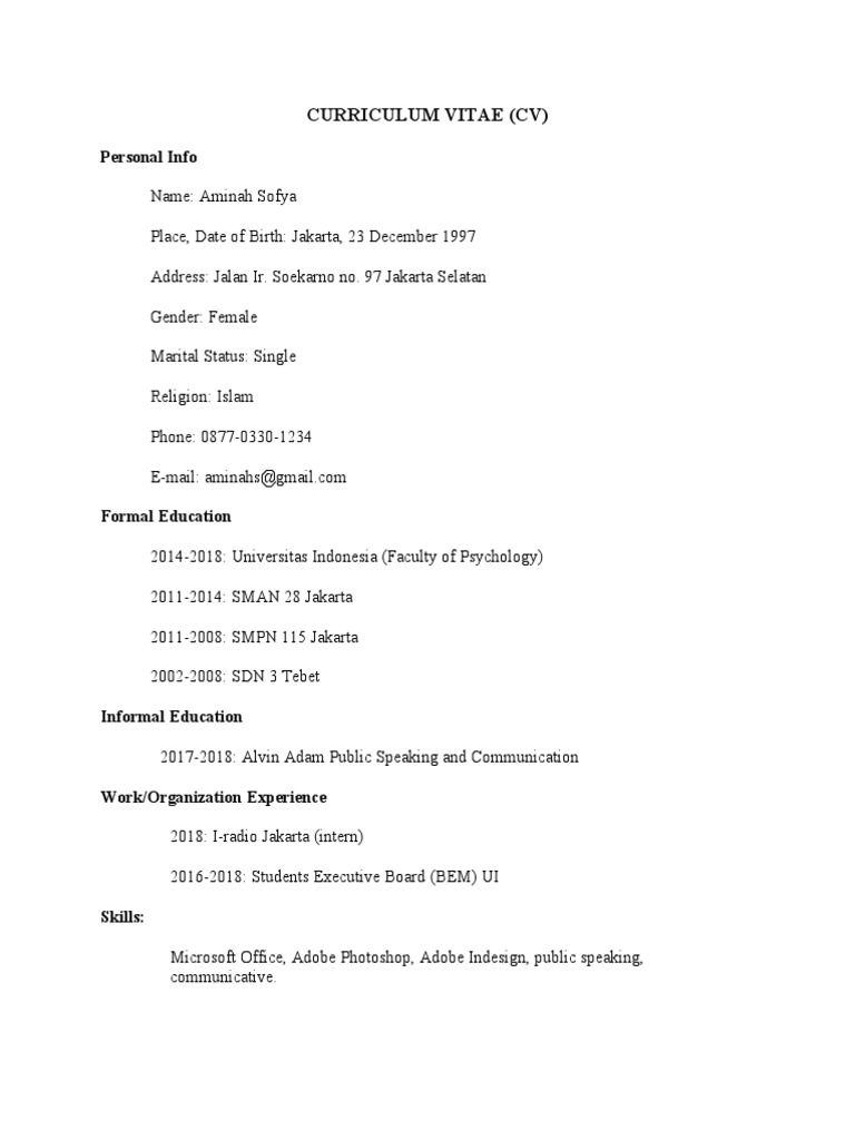 Cirriculum Vitae Sample Aminah | PDF