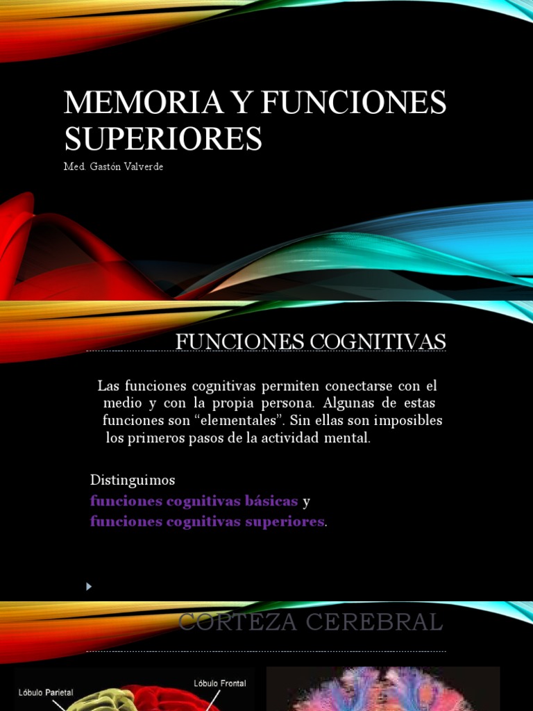 Funciones Cognitivas | PDF | Receptor Nmda | Sinapsis