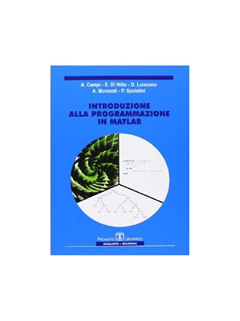 Introduzione Alla Programmazione in MATLAB | PDF
