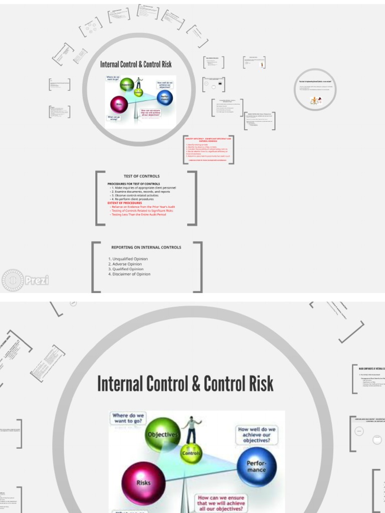 Internal Control System PDF Slides | PDF