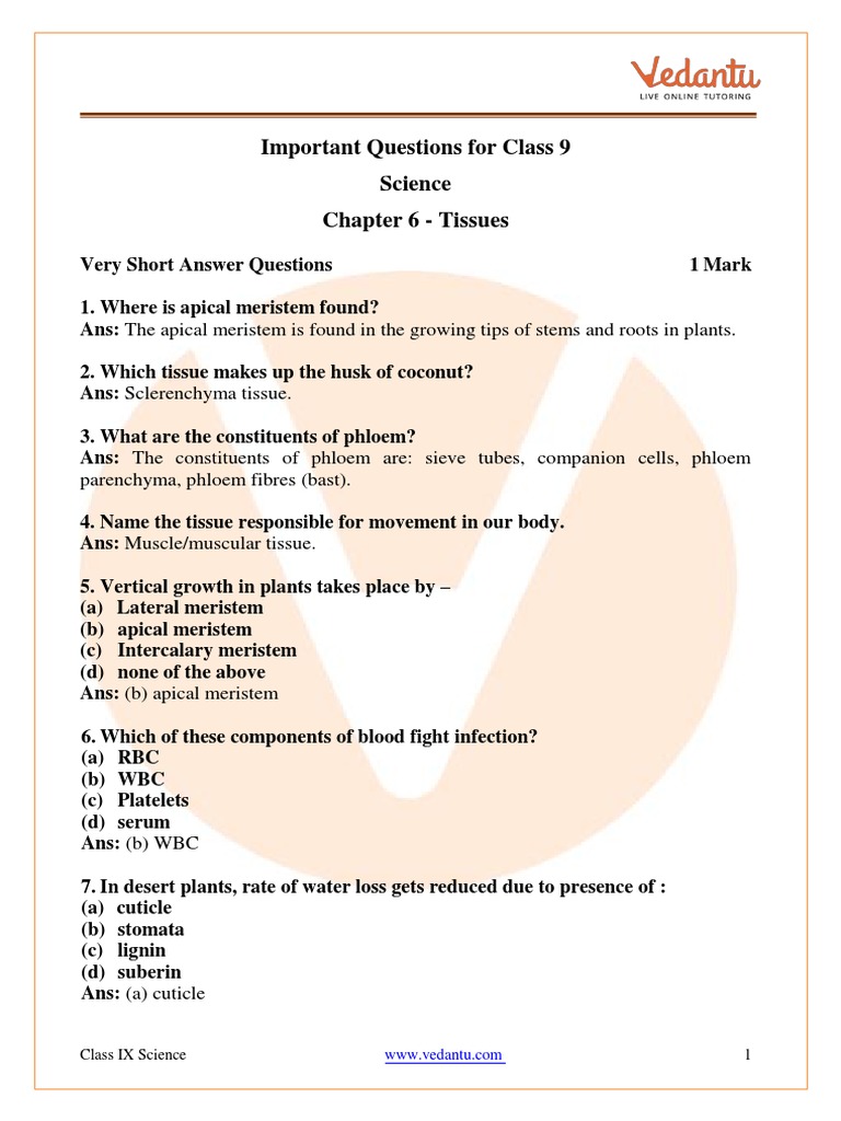 Important Questions For CBSE Class 9 Science Chapter 6 | PDF | Tissue ...