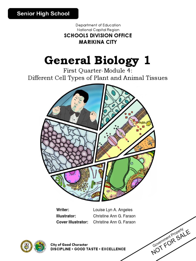 Plant and Animal Tissues | PDF | Epithelium | Tissue (Biology)
