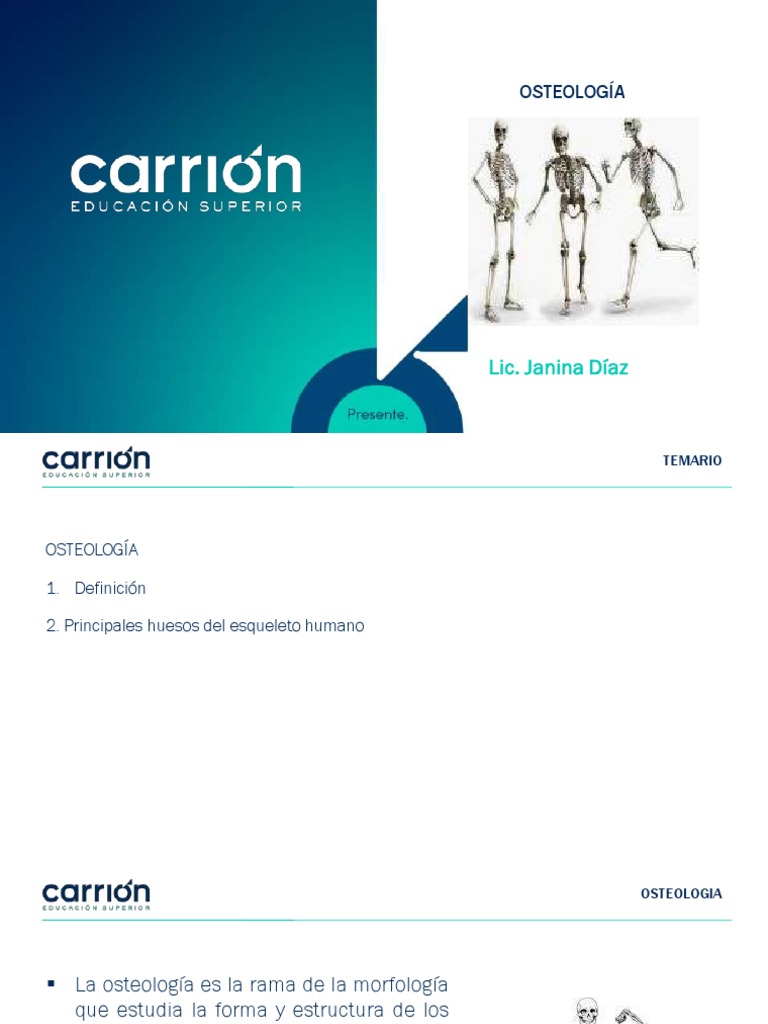 Clase 7 | PDF | Hueso | Esqueleto