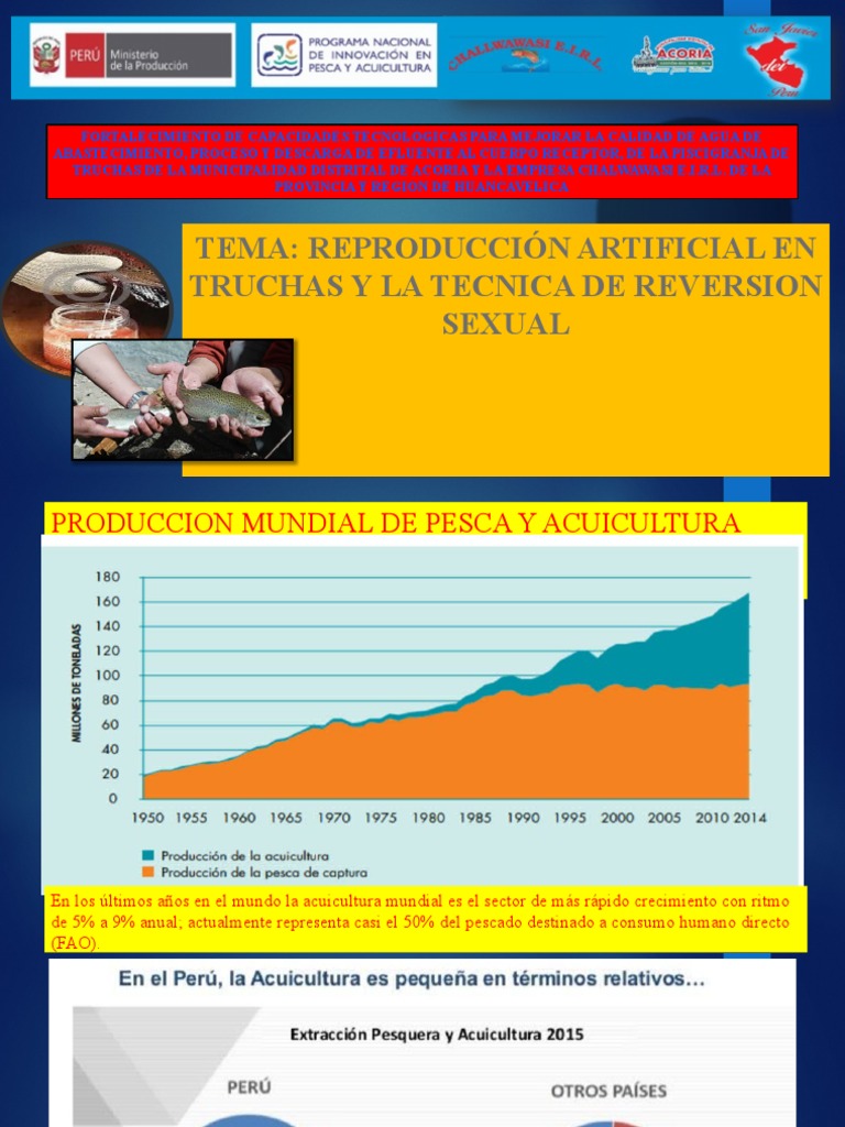 I Curso De Produccion De La Trucha Acoria 2020 Pdf Acuicultura Semen