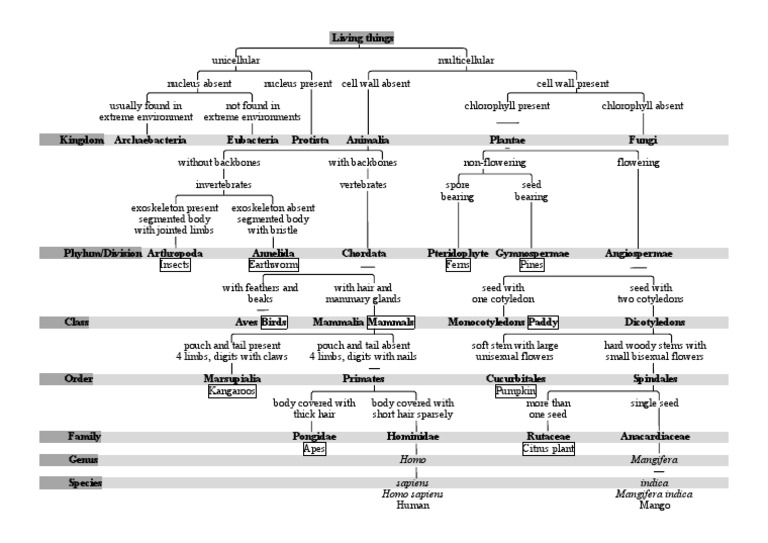 Six Kingdoms of Life Overview | PDF | Organisms | Taxa