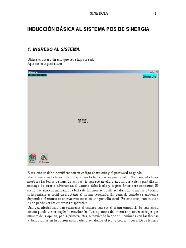 Inducción Básica Al Sistema Pos de Sinergia | PDF | Inventario | Contraseña