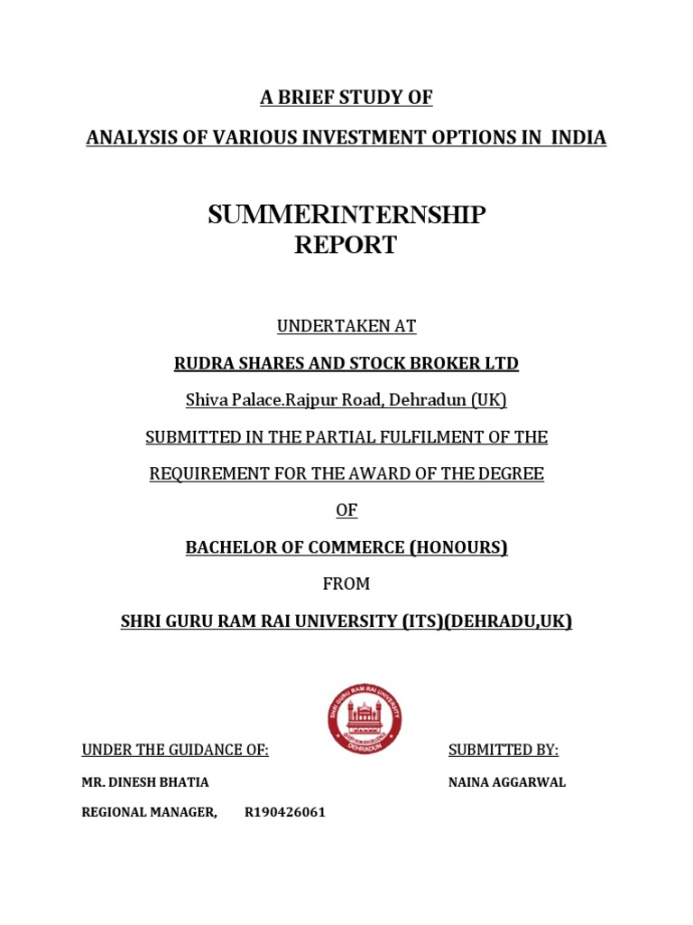 Rudra Internship Report 2021 | PDF | Investment Fund | Futures Contract
