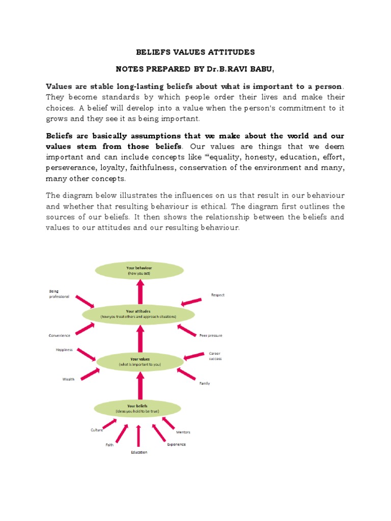 Understanding Values, Beliefs, and Attitudes | PDF | Attitude ...