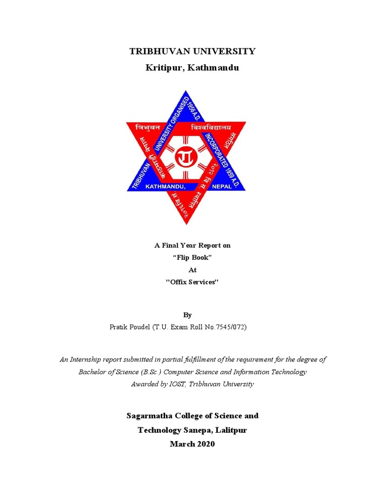 Final Internship Report | PDF | Software Testing | World Wide Web