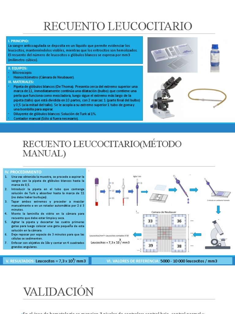 HEMATOLOGÍA | PDF | Leucocito | Sangre