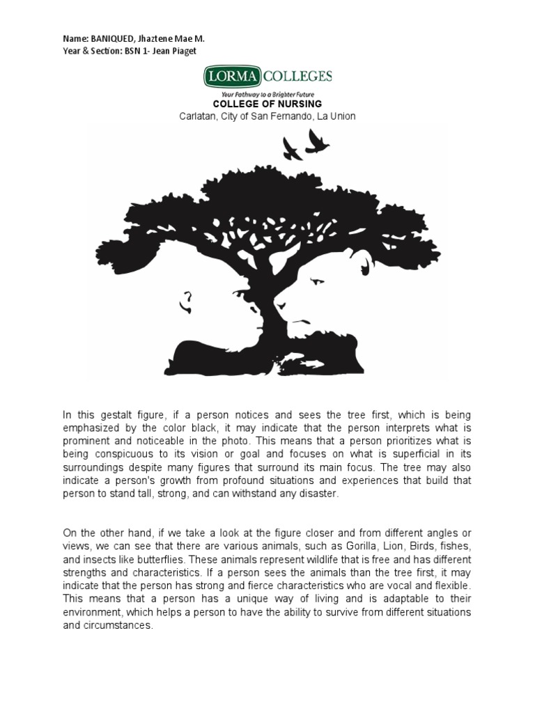 Health Education - Activity 1 (Midterms) | PDF