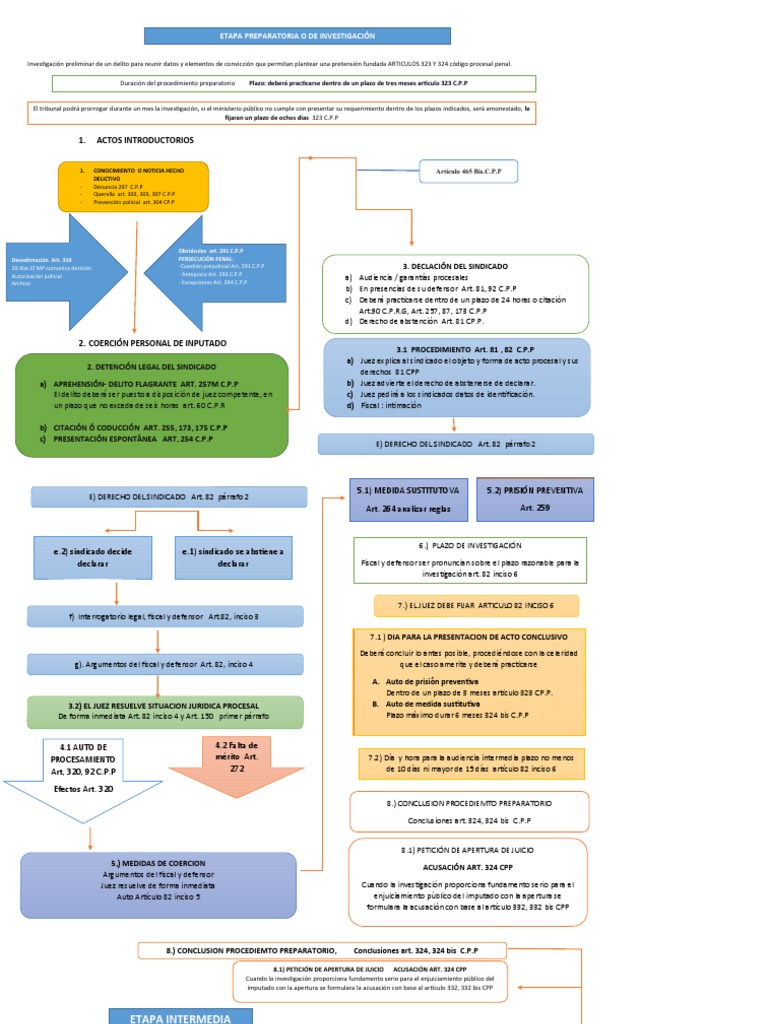 Esquema de Etapa Preparatoria Derecho Procesal Penal | PDF
