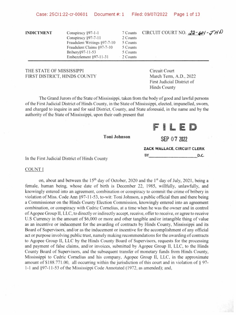 Toni Johnson New Indictment | PDF