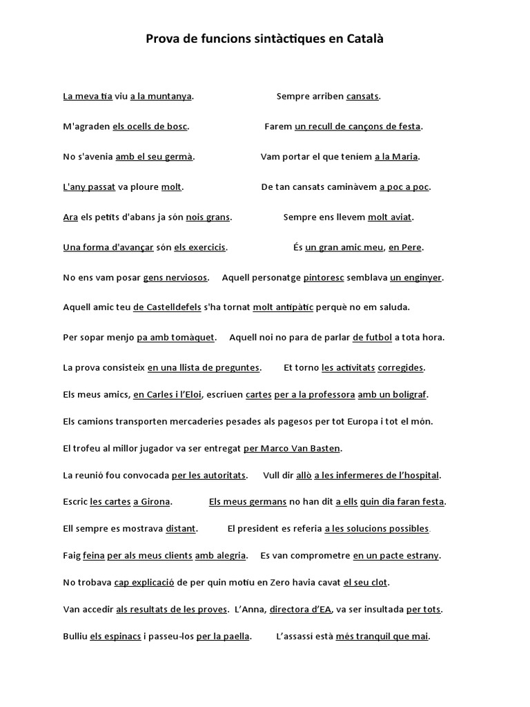 Prova de Funcions Sintàctiques en Català | PDF