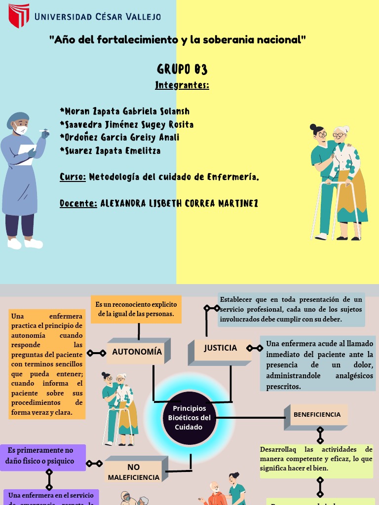 Principios Bioéticos | PDF | Enfermería | Cuidado de la salud Principios Bioéticos | PDF | Enfermería | Cuidado de la salud