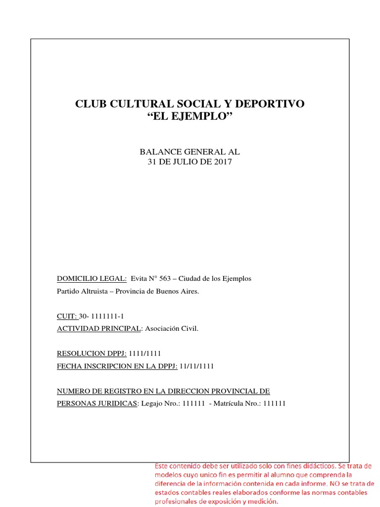 Anexo - Ejemplo de EECC | PDF | Contabilidad | Valor neto