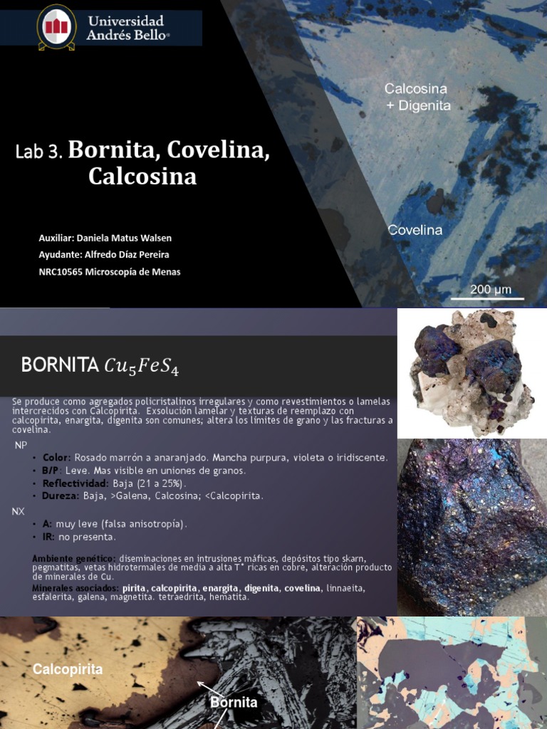 Laboratorio 3. Covelina, Calcosina, Bornita | PDF | Minería | Mineralogía