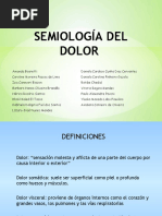 Alicia Del Dolor, para Semiología Al Examen Fisico | PDF | Dolor ...