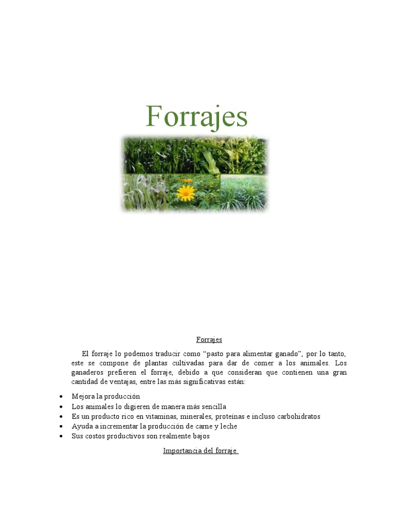 Pastos y Forrajes | PDF