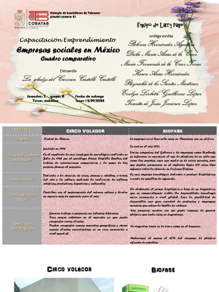 Cuadro Comparativo de Empresas Sociales | PDF | México | Economias Cuadro Comparativo de Empresas Sociales | PDF | México | Economias