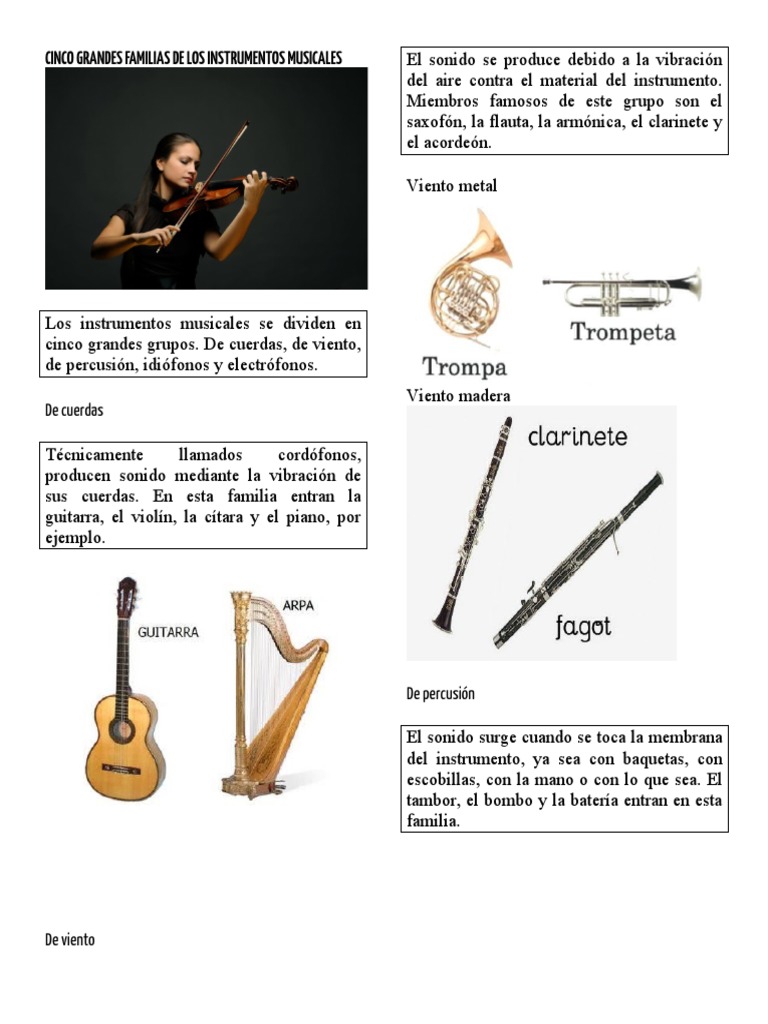 Familia De Instrumentos De Percusión Modulo De Percusion New Beat