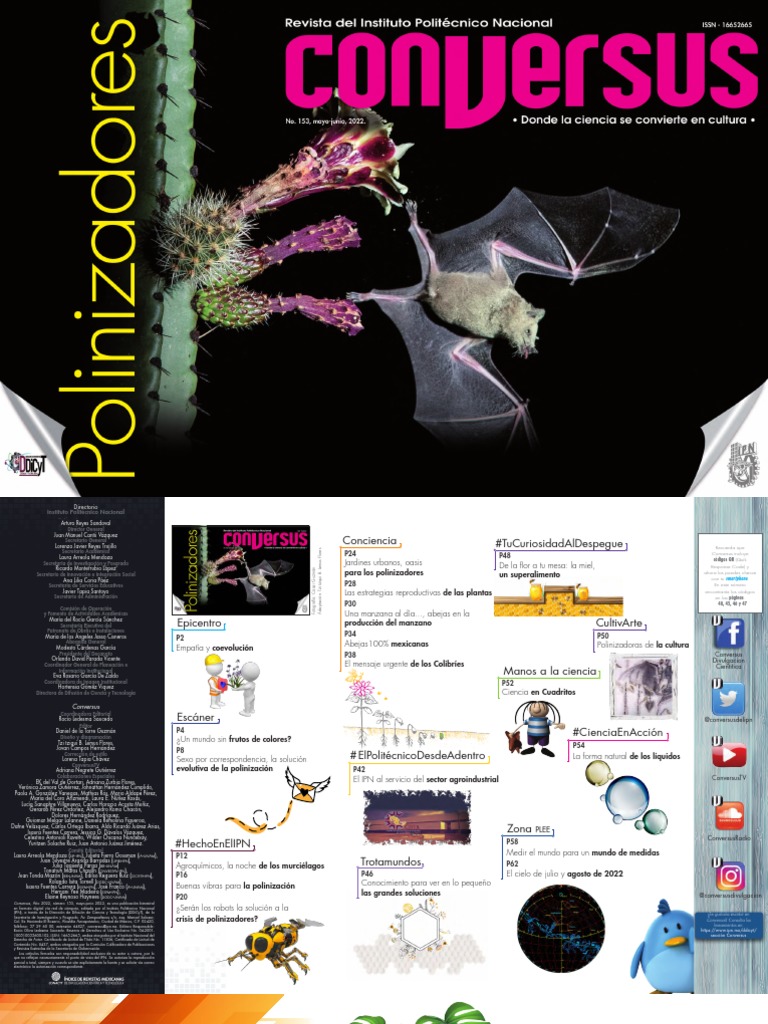Conversus No153 Polinizadores | PDF | Polinización | Insectos