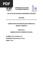 Azul de Tripan | PDF | Tinción | Microscopía