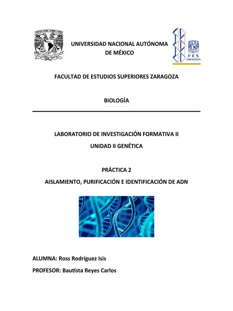 Práctica 2 - Aislamiento, Purificación e Identificación Del ADN | PDF | Adn | Genética