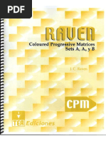 Coloured Progressive Matrice Sets A, Ab, B | PDF