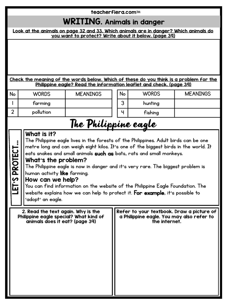 34 Pages Worksheet | PDF | Eagle