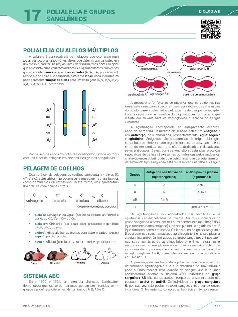 Polialelia E Grupos Sanguíneos: Polialelia Ou Alelos Múltiplos | PDF ...